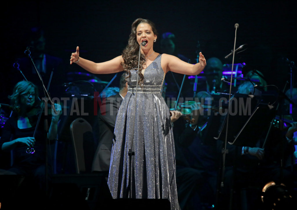 Andrea Bocelli wows crowd with effortless perfection - TotalNtertainment